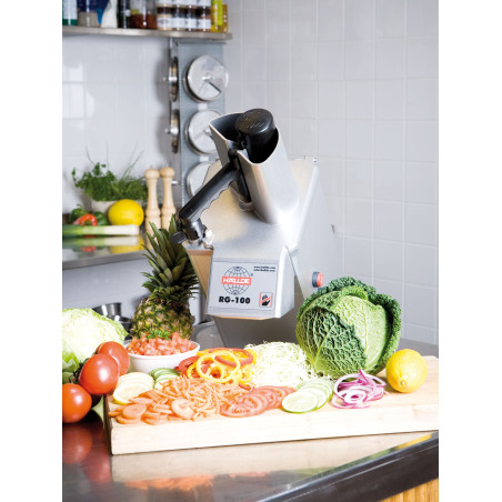 Hallde RG-100 VEGETABLE PREPARATION MACHINE - RG-100 | Roband